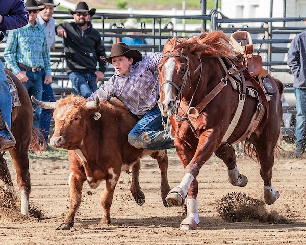 Local high school students to compete in state rodeo finals - Paso ...