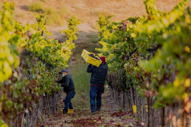 Three families with ties to SLO purchase Laetitia Vineyard & Winery ...