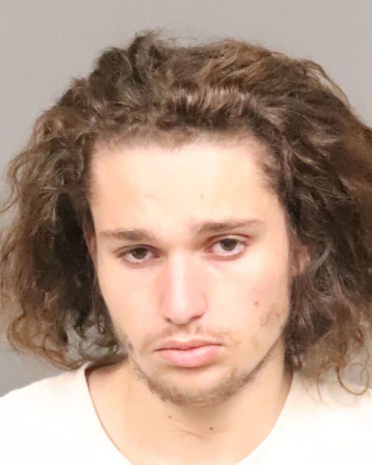 Update: Tyler Grant Stevens charged with murder, hate crime, animal ...