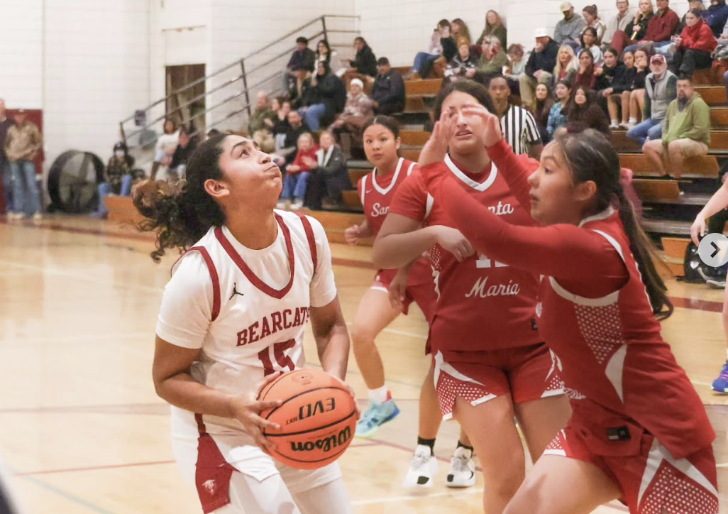 Bearcat Athletes of the Week: Pedro Sandoval Jr., Macoy Sill, and Caleb ...